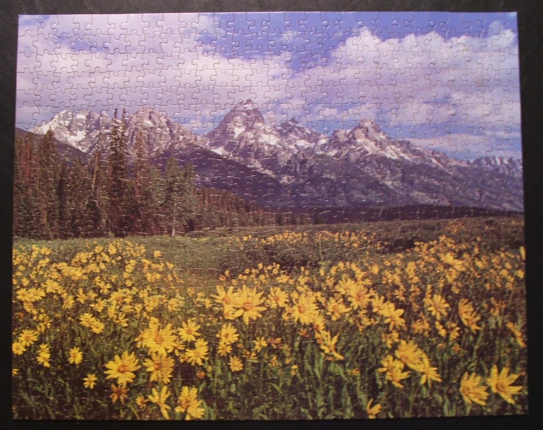 Vintage 1970s Whitman 600 Pc. Puzzle #4648 ''grand Teton National Park ...
