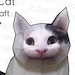 Big Memes Cat ,1:1 , Papercraft , PDF Template , DIY , A4 - Etsy