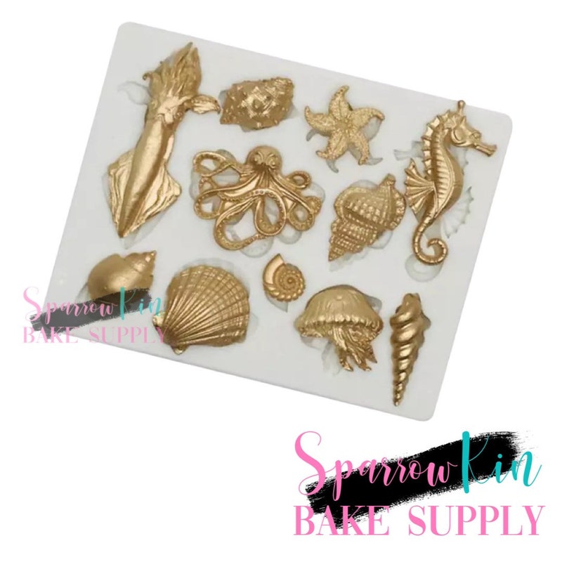 Sea Shell Mold - Etsy