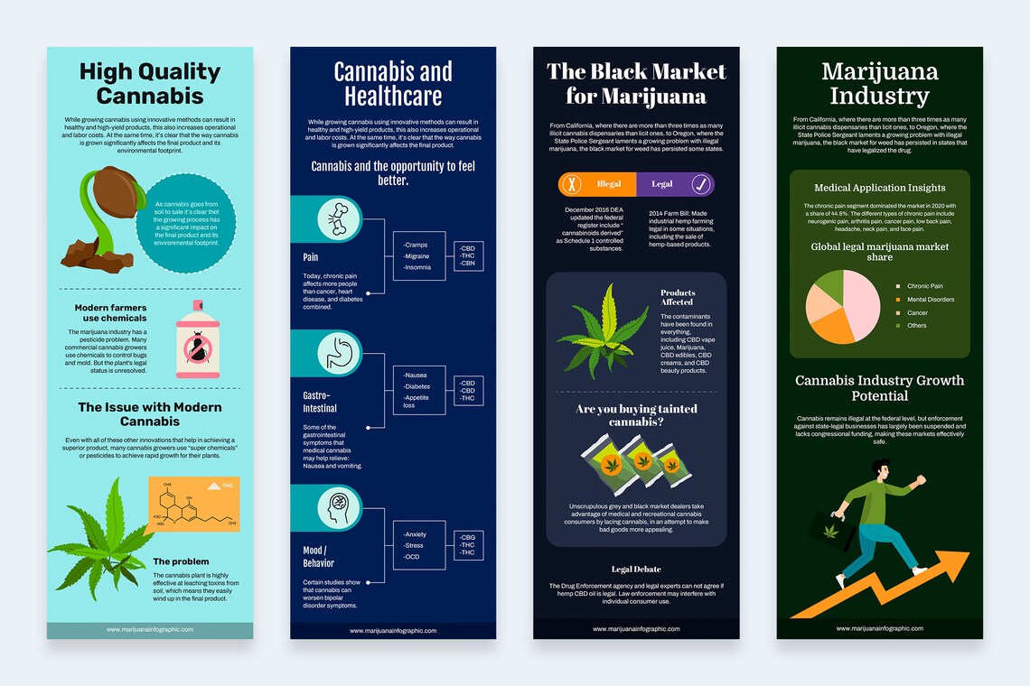 Plantillas / diagramas de infografía vertical de marihuana para ...