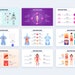 Anatomy Infographics Template for Google Slides Best Google Slides ...