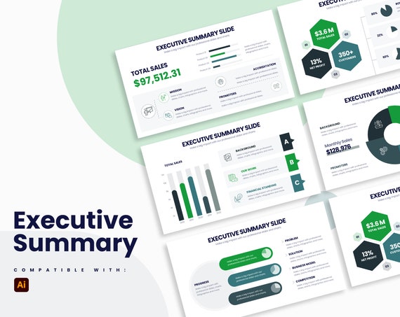 Executive Summary Infographics Template for Illustrator - Etsy