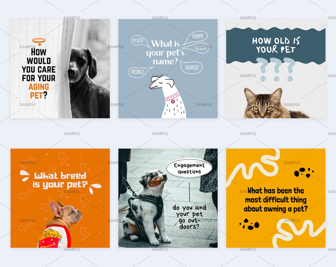 Pet Engagement Question Social Media CANVA Template | Etsy
