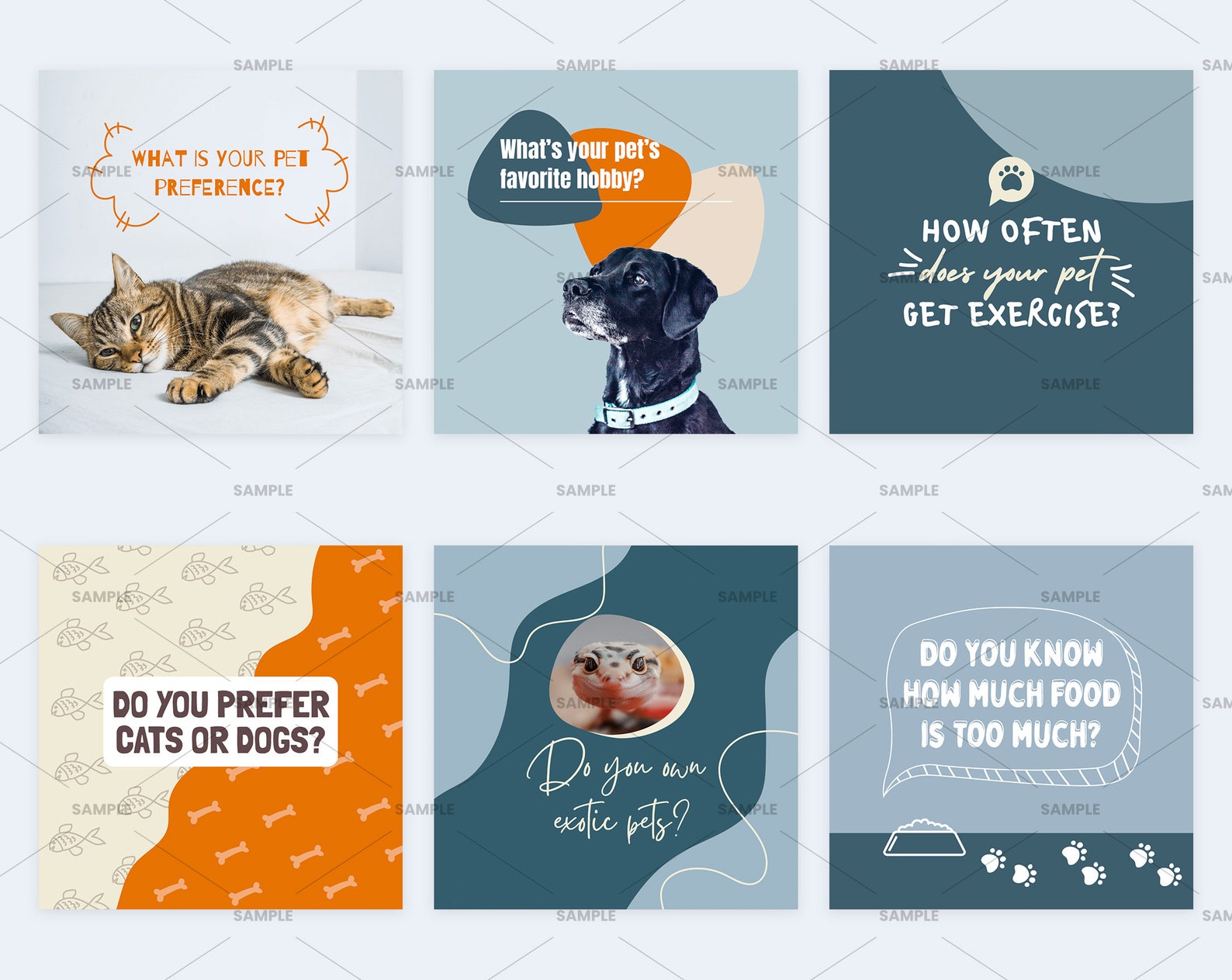Pet Engagement Question Social Media | CANVA Template, Engagement Boost ...