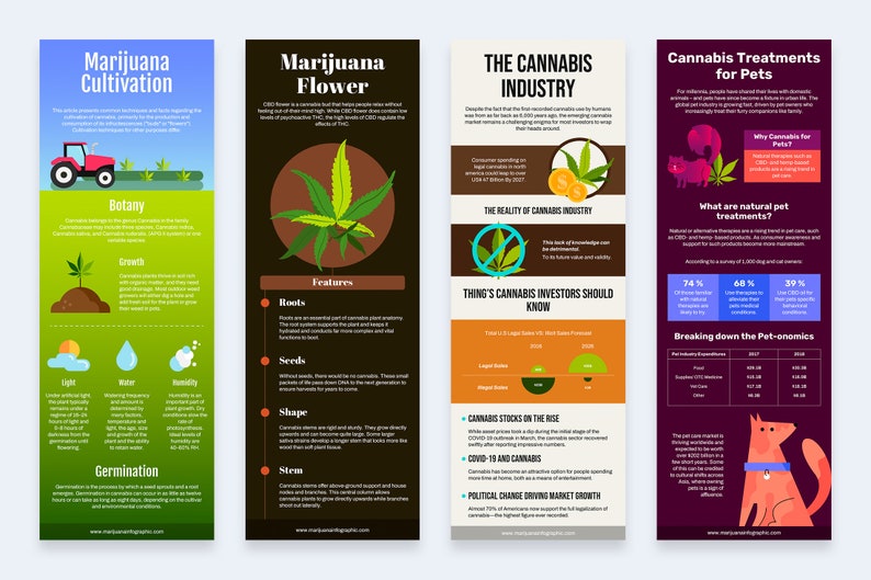 Marijuana Vertical Infographic Templates | Diagrams for Powerpoint ...