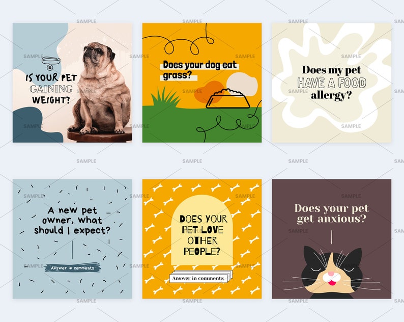 Pet Engagement Question Social Media | CANVA Template, Engagement Boost ...