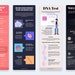 Science Vertical Infographic Templates | Diagrams for Powerpoint ...