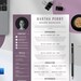Kelly Resume Template Professional Microsoft Word CV Template ...