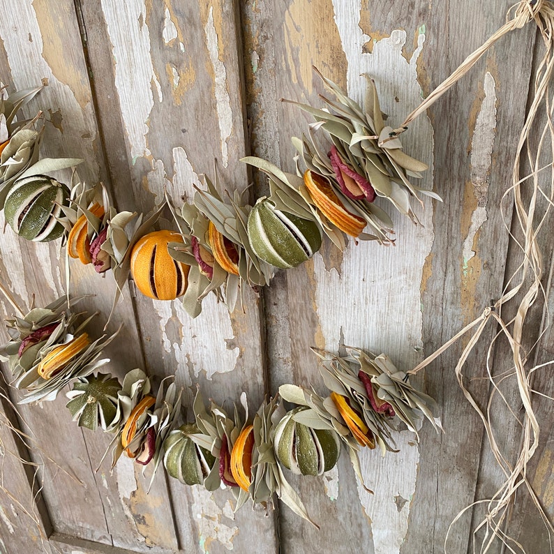 Harvest Fruits Garland - Etsy