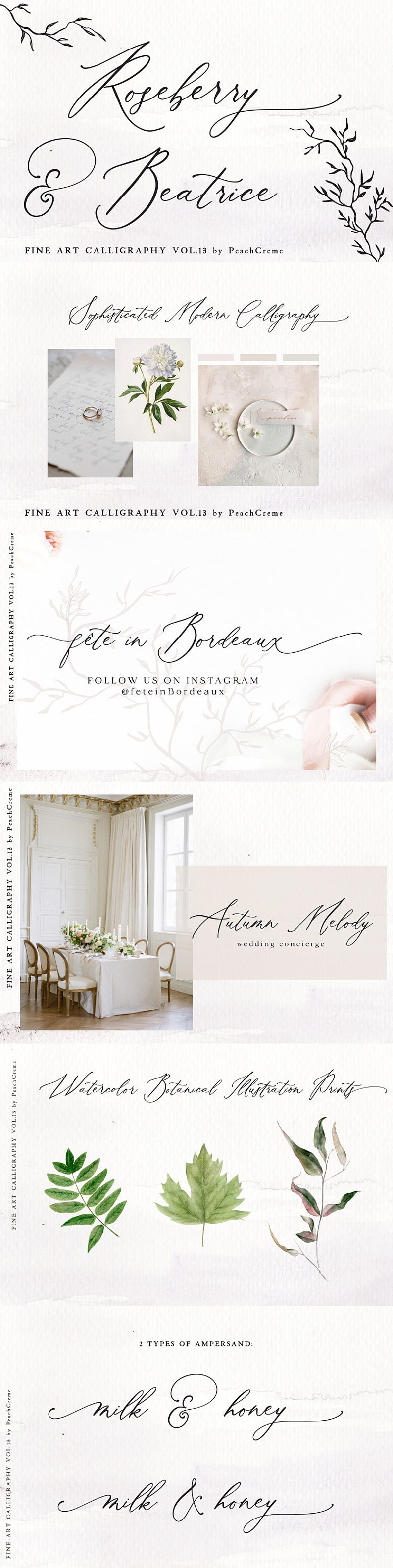 Roseberry & Beatrice Calligraphy Font, Modern Script (digital Download ...