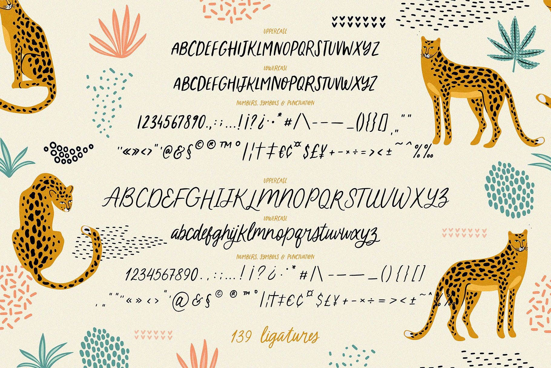 Handwritten Cute Script, Calligraphy Font, Modern Calligraphy, Display ...