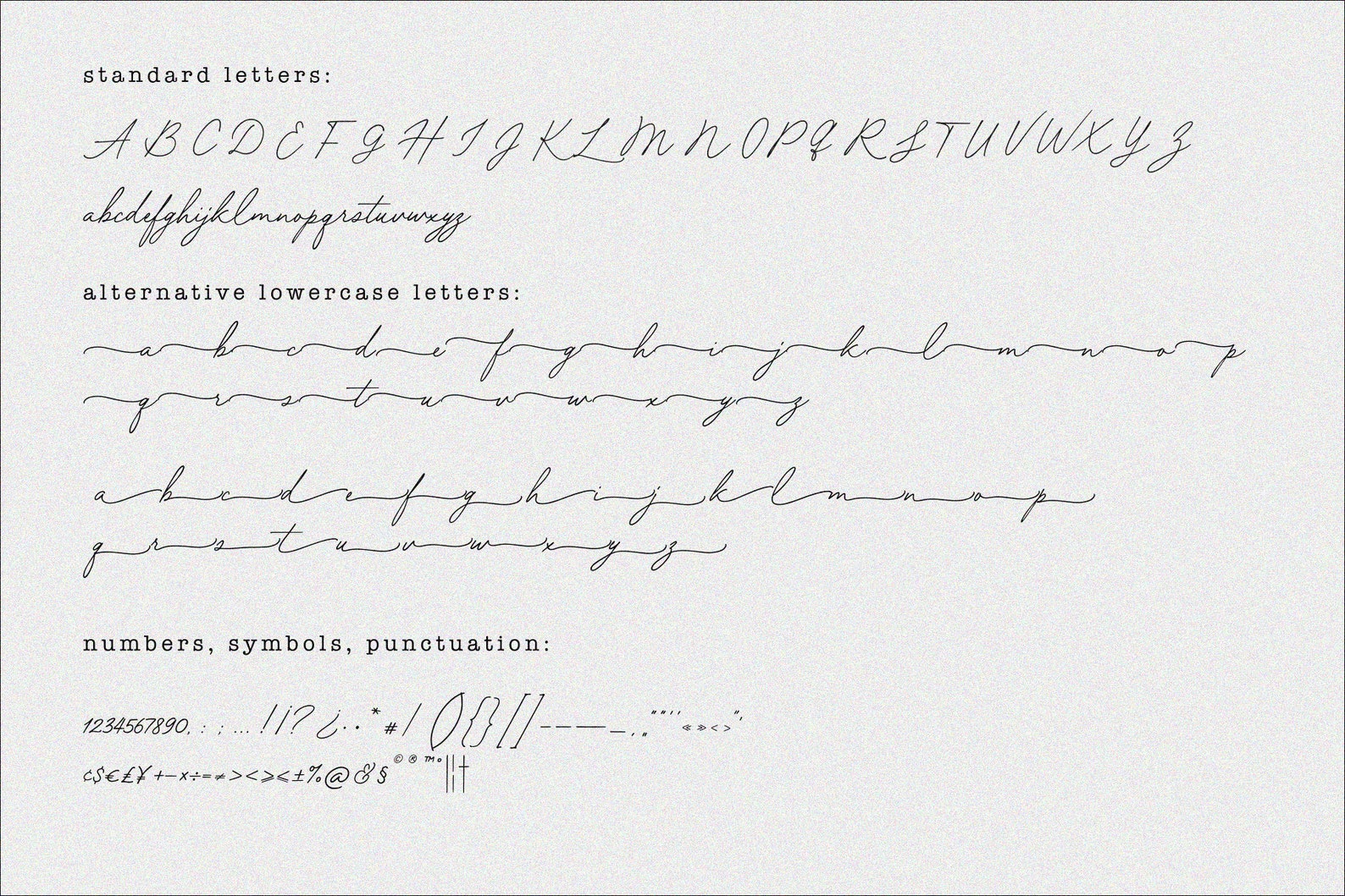 Script Font, Swashes Font, Calligraphy Font Signature Font, Logo Font ...