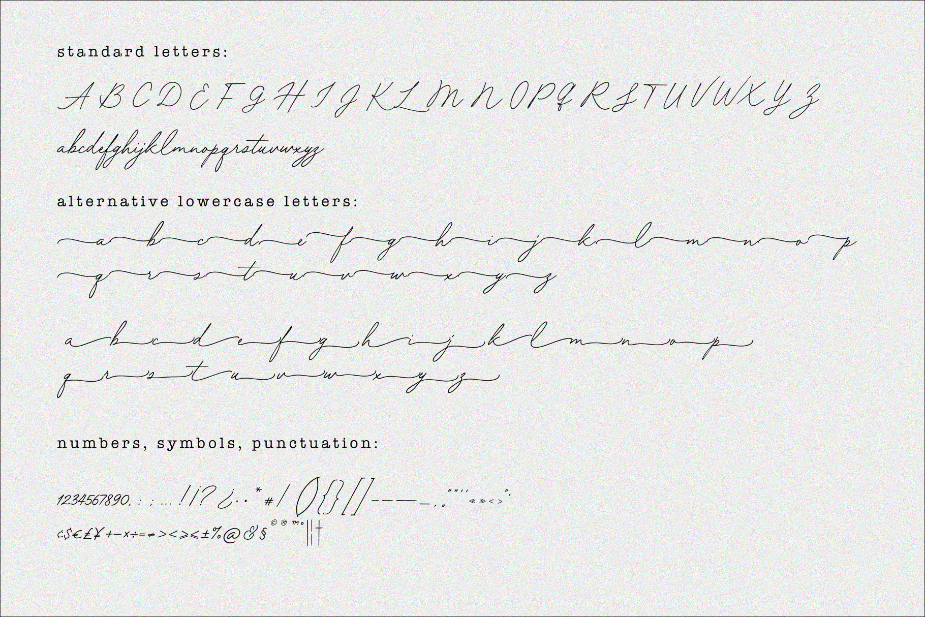 Script Font, Swashes Font, Calligraphy Font Signature Font, Logo Font ...