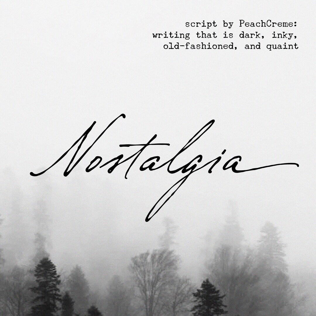 Vintage Script Font, Calligraphy Font Signature Font, Logo Font ...