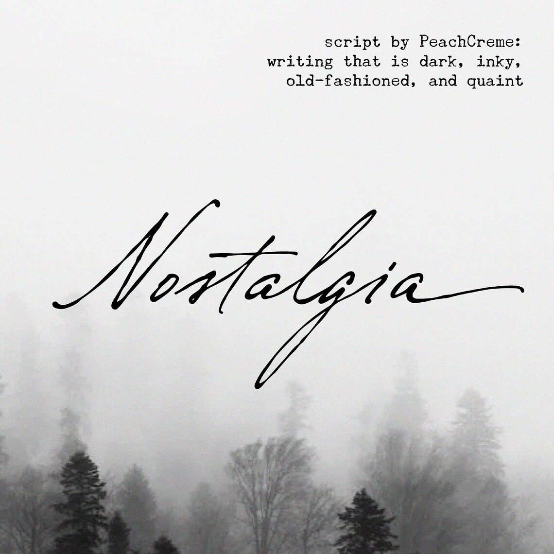 Vintage Script Font, Calligraphy Font Signature Font, Logo Font ...