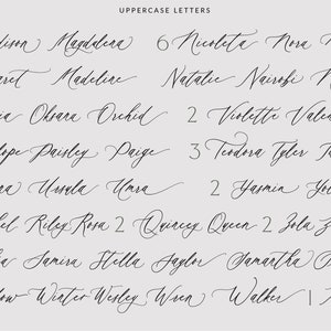 Wedding Font, Calligraphy Font, Wedding Font, Script Font, Handwritten ...