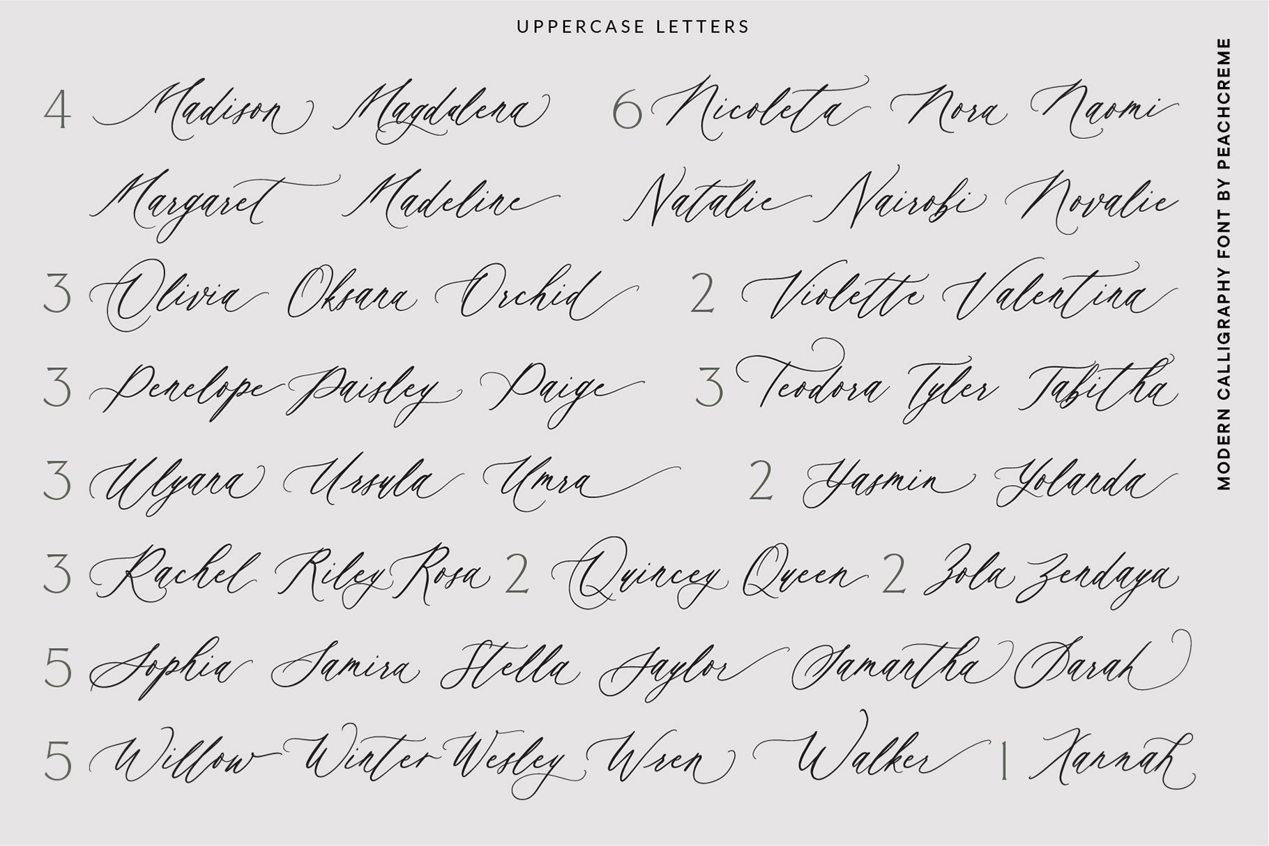 Wedding Font, Calligraphy Font, Wedding Font, Script Font, Handwritten ...