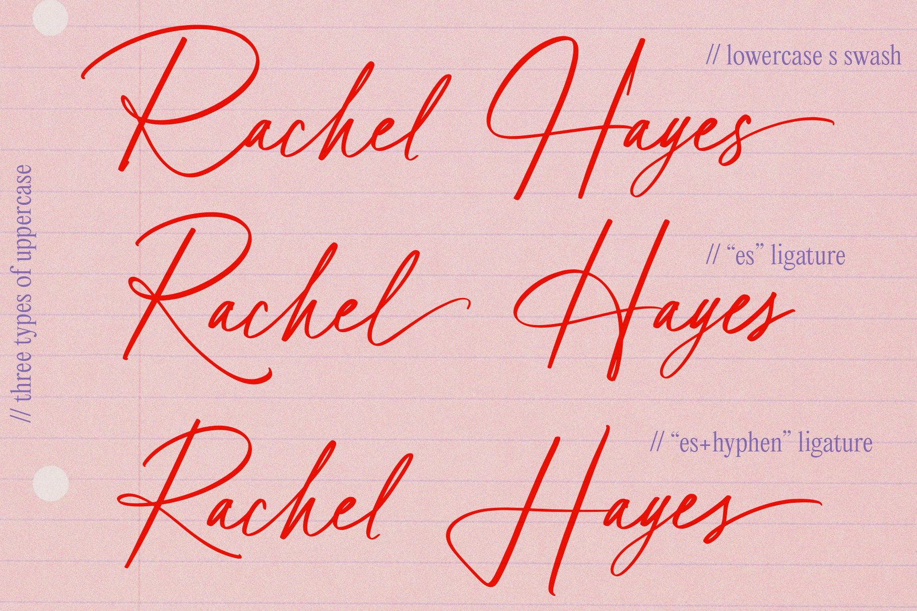 Signature Font, Swashes Font, Calligraphy Font Signature Font, Logo ...