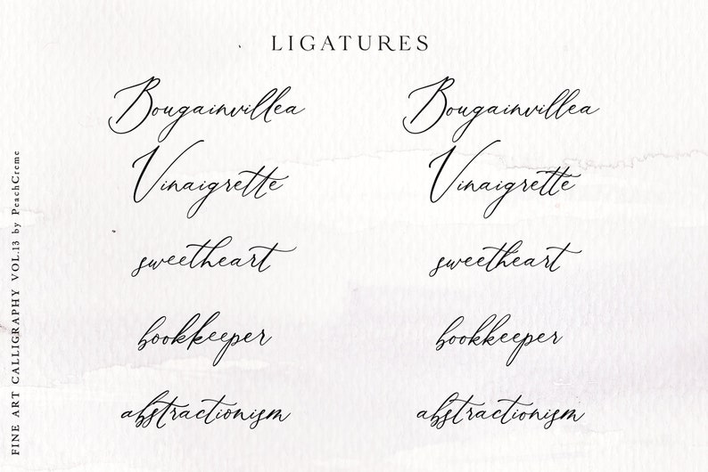 Roseberry & Beatrice Calligraphy Font, Modern Script (digital Download ...
