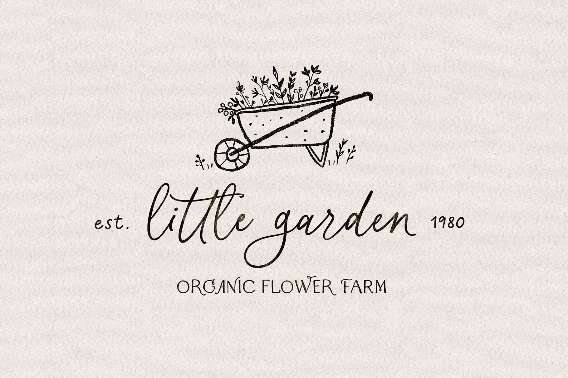 Handwritten Cute Script, Calligraphy Font, Modern Calligraphy, Display ...