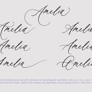 Wedding Font, Calligraphy Font, Wedding Font, Script Font, Handwritten ...