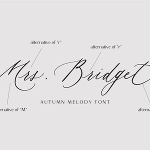 Wedding Font, Calligraphy Font, Wedding Font, Script Font, Handwritten ...