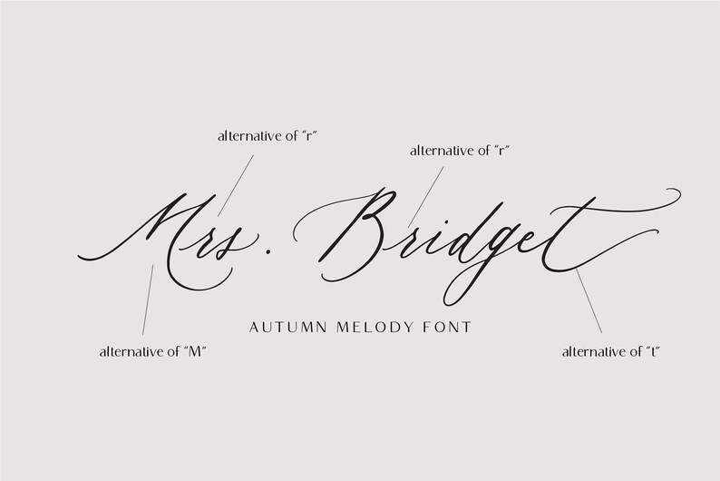 Wedding Font, Calligraphy Font, Wedding Font, Script Font, Handwritten ...