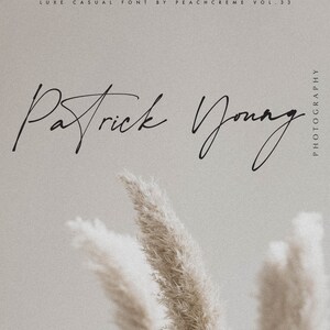 The Impressionist Calligraphy Font, Modern Script (digital Download) - Etsy