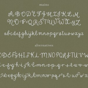 Quirky Font, Cursive Font, Handwritten Font, Quirky Calligraphy, Rustic ...