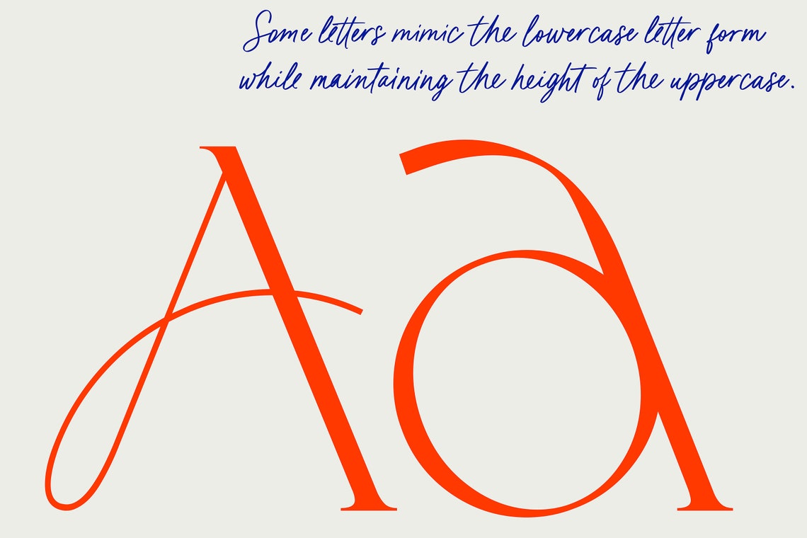 Display Serif Font, Lettering, Branding Fonts, Logo Font, Invitation ...