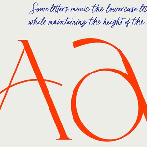 Display Serif Font, Lettering, Branding Fonts, Logo Font, Invitation ...
