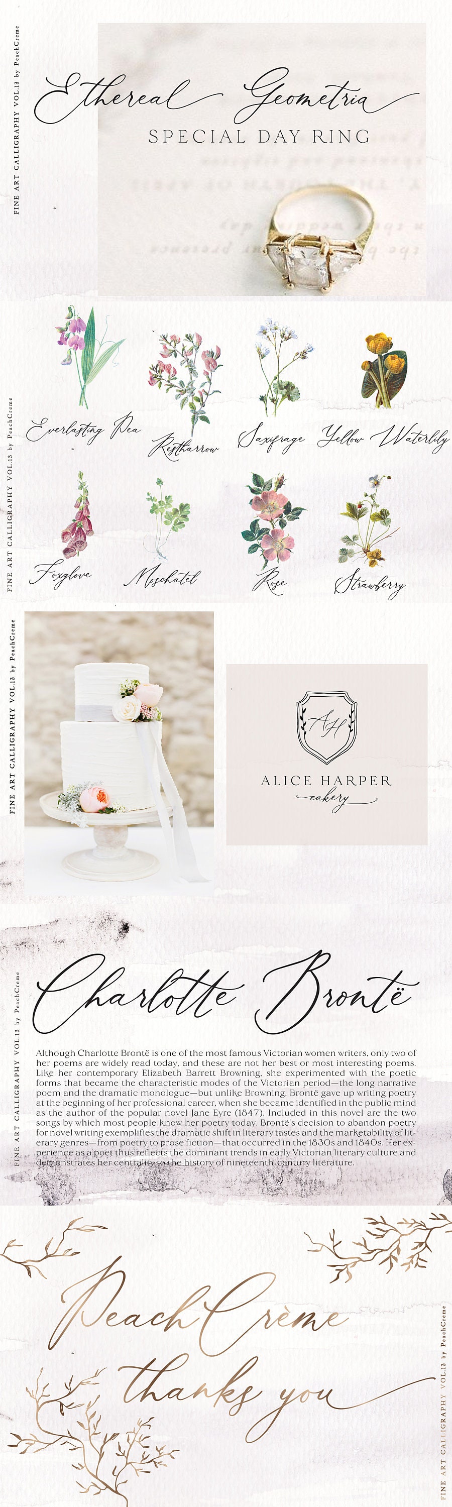 Roseberry & Beatrice Calligraphy Font, Modern Script (digital Download ...