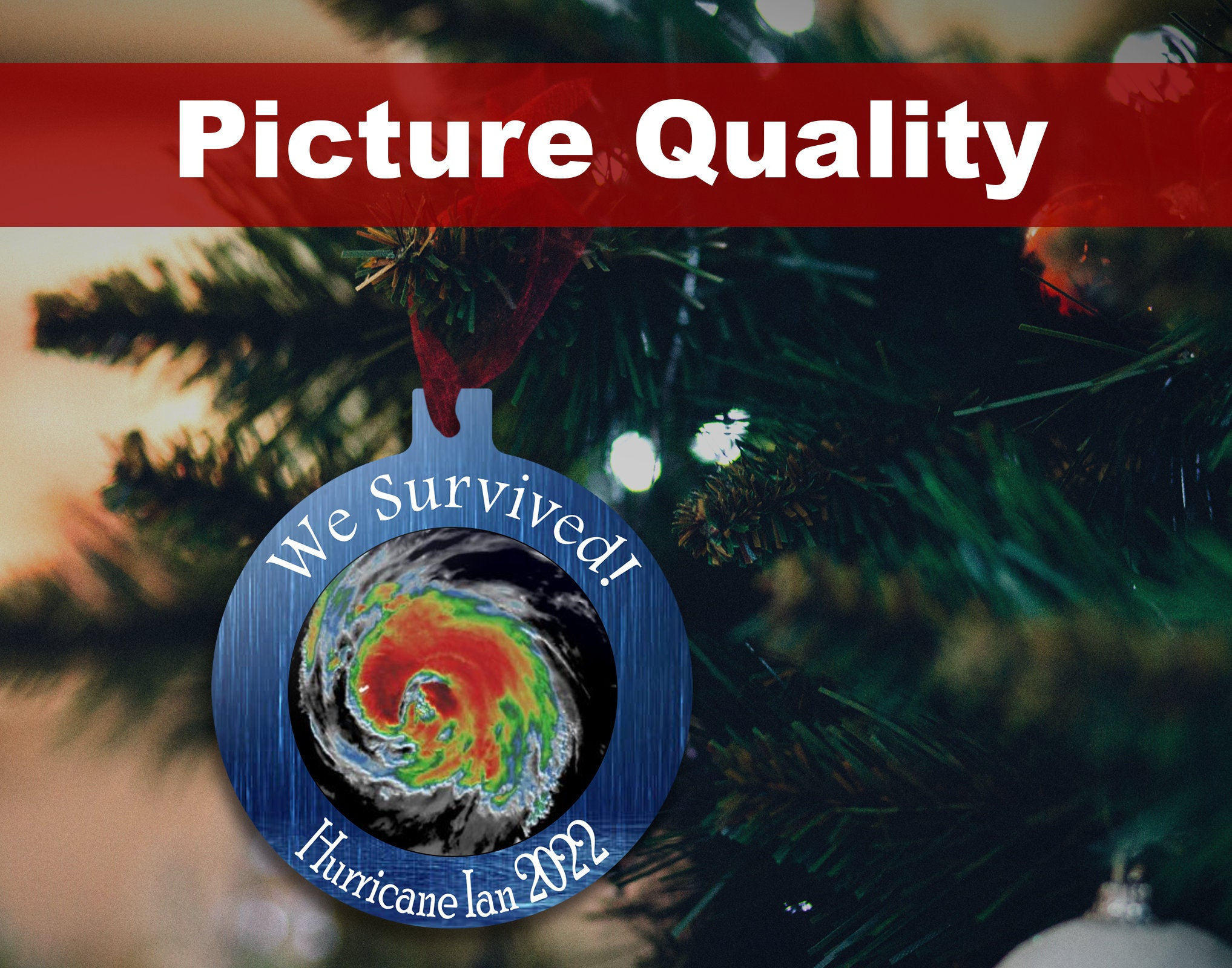 I Survived Hurricane Ian - Etsy