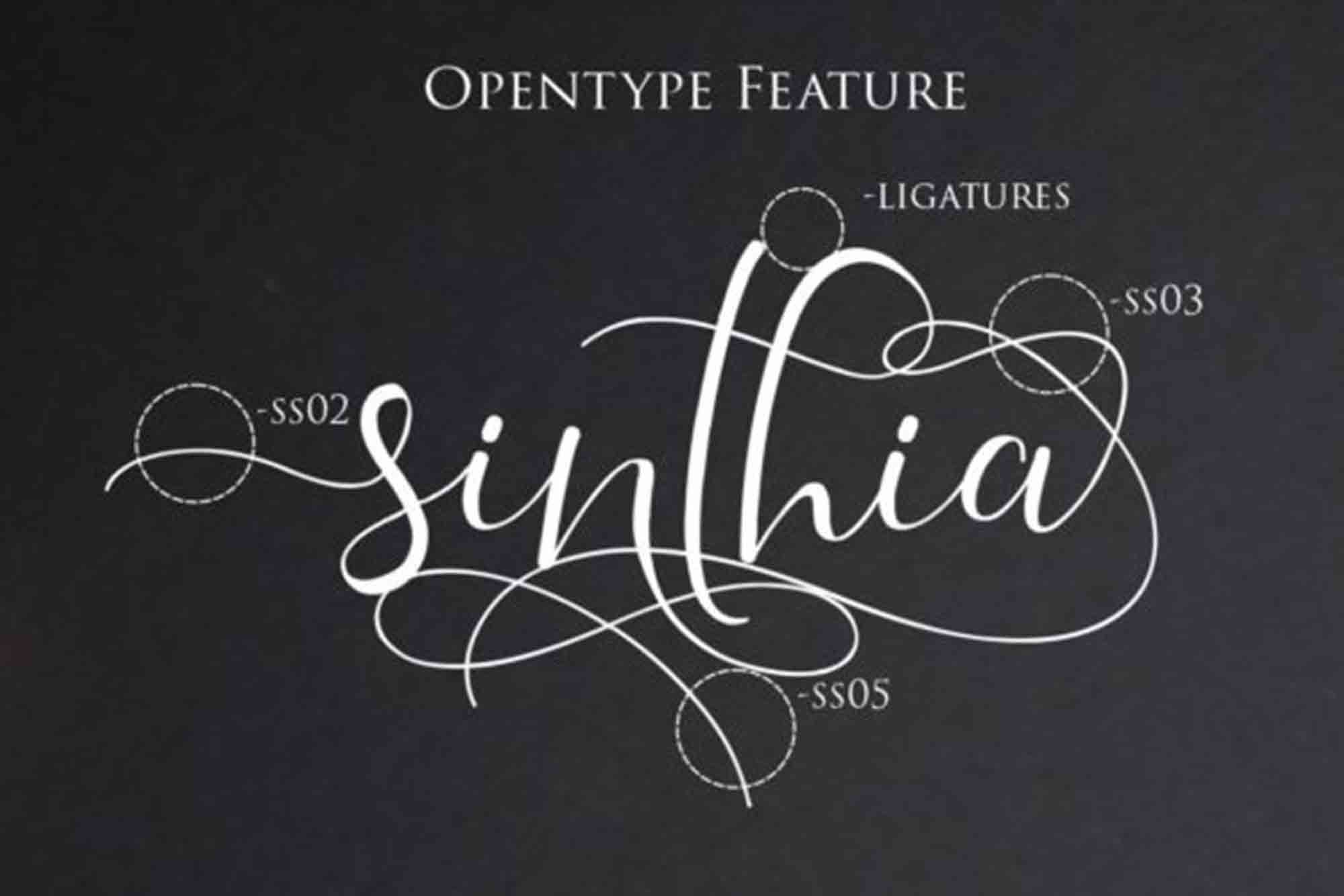 Cursive Font Font with Tails Wedding Font Long Swoosh Font | Etsy