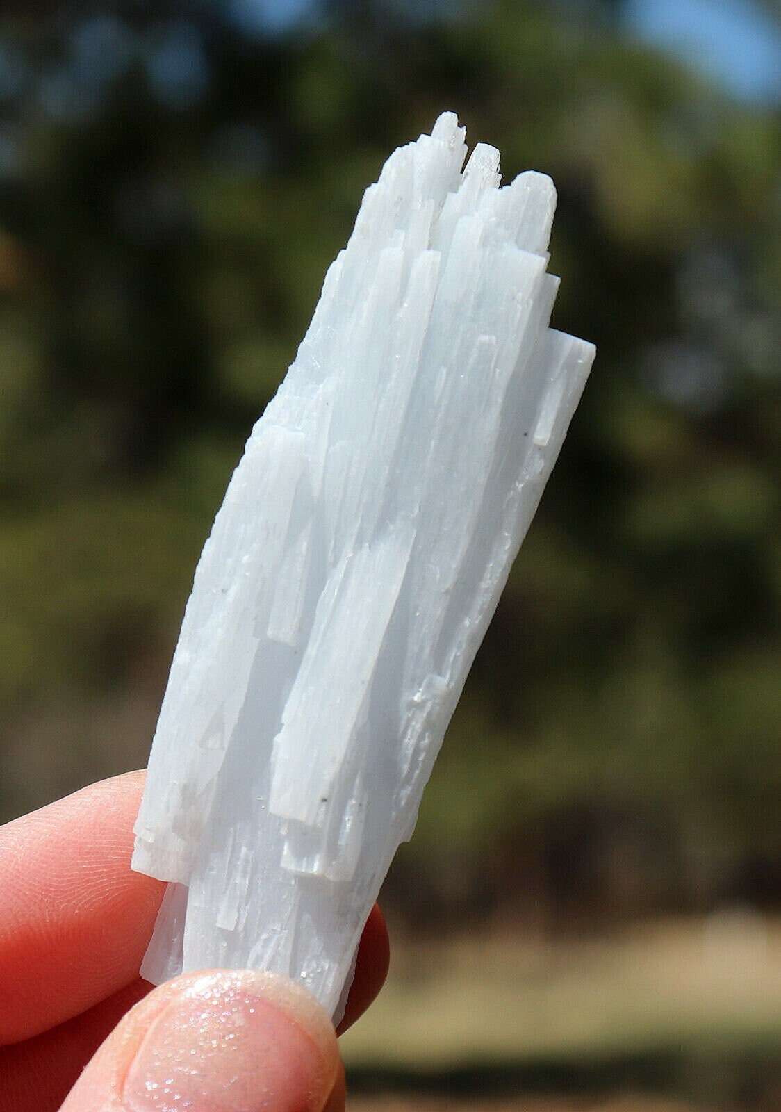 Angel Wing Blue Anhydrite - Etsy