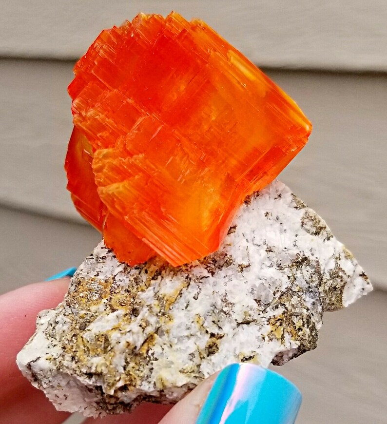 Home Décor Home & Living Arcanite Orange From Poland LQQK Bright Color ...