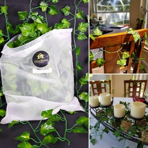 Silk Ivy Vines 84ft Plastic 12 Pack Leaf Garland Plants Hanging Fake ...