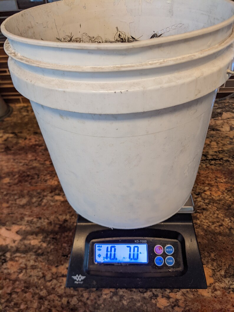 10lb Nickel Titanium Shavings Turnings - Etsy