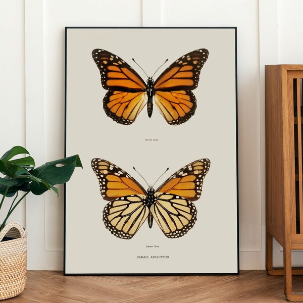 Monarch Butterfly - Etsy