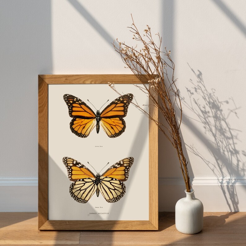Monarch Butterfly Print Design Vintage Poster in High - Etsy