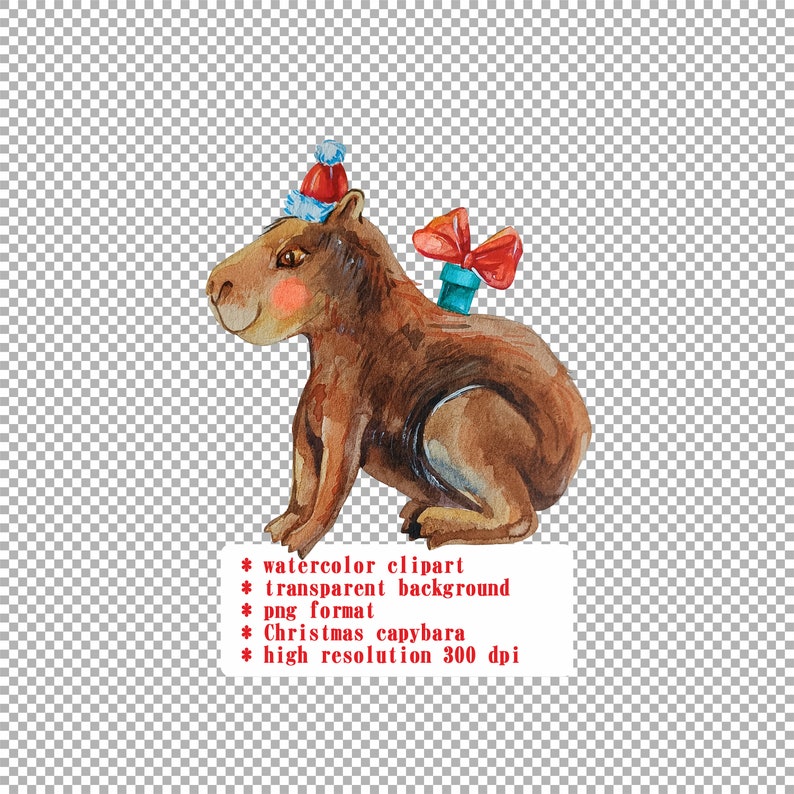 Watercolor Capybara Clipart Instant Download Christmas Capybara Clipart ...