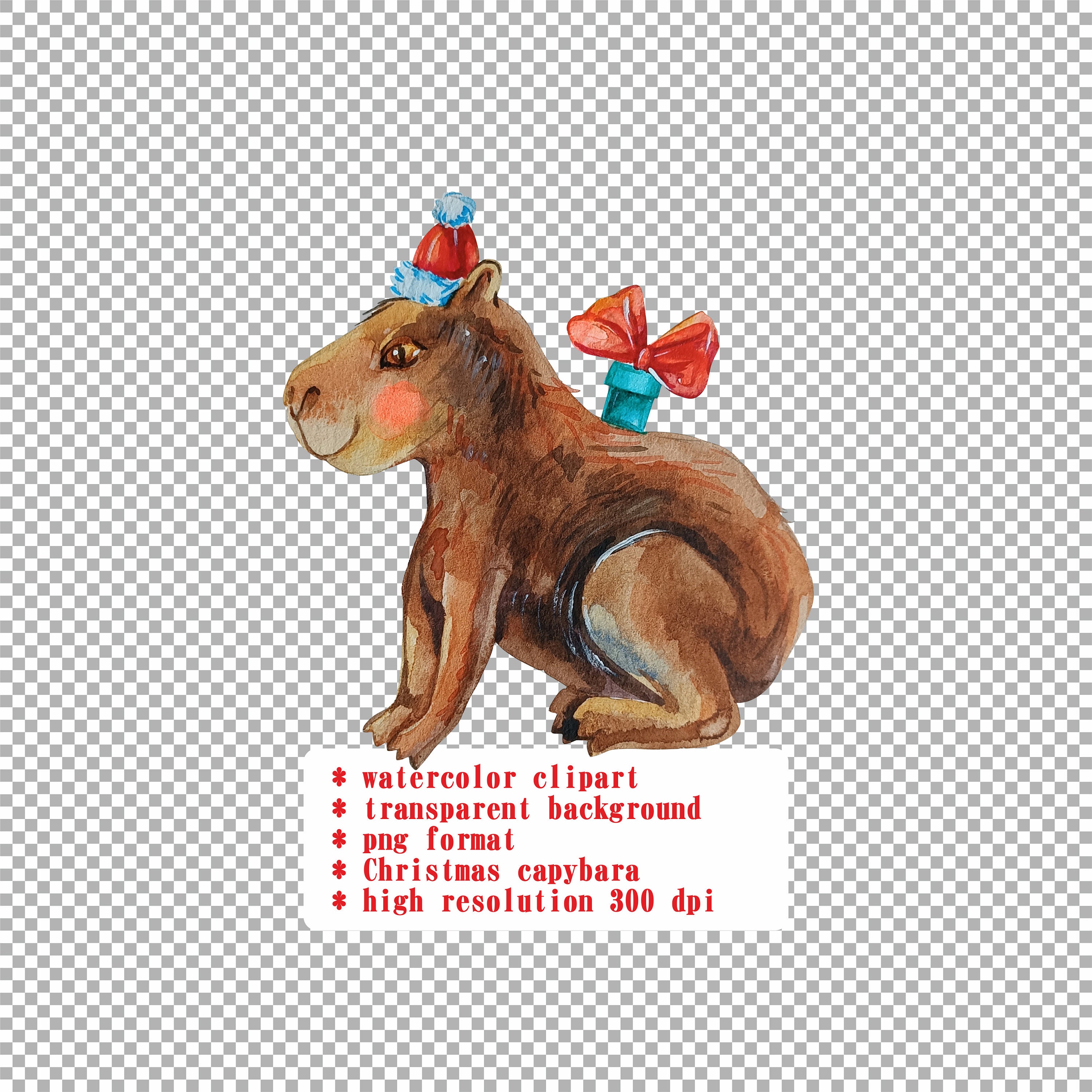 Watercolor Capybara Clipart Instant Download Christmas Capybara Clipart ...
