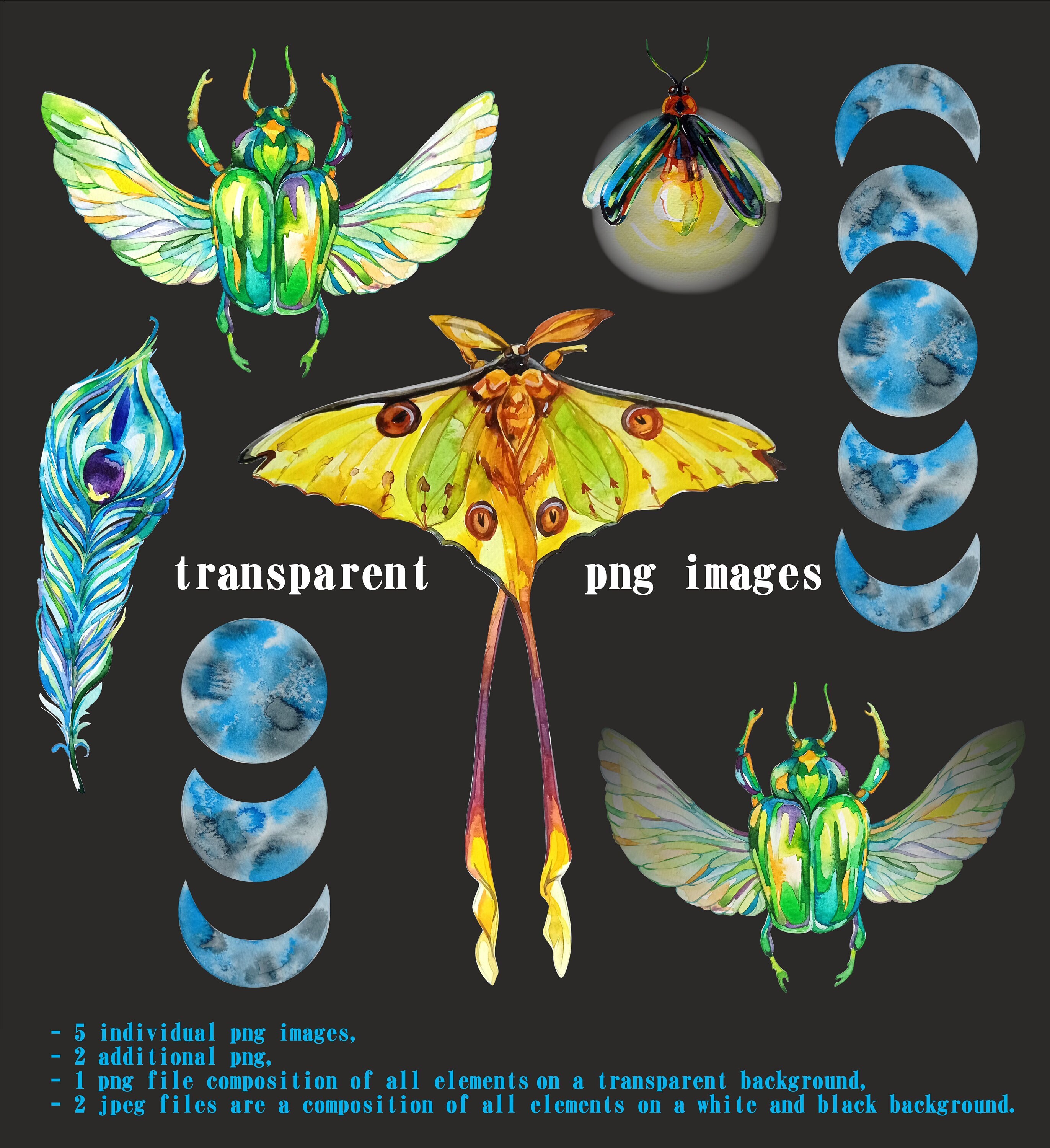 Bright Watercolor Clipart Collection : Watercolor Bug Clipart ...