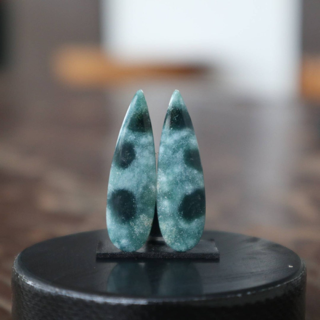 Green Opalized Wood Agate Pair - Etsy