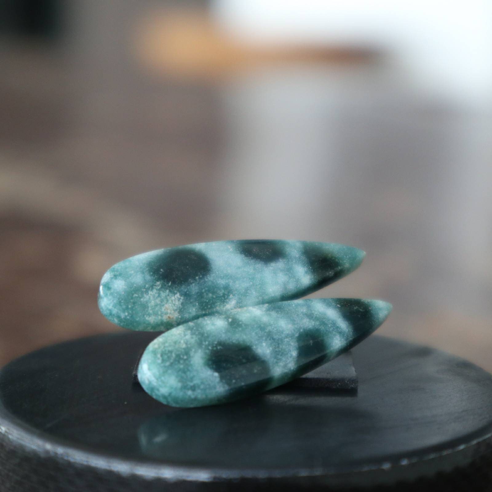 Green Opalized Wood Agate Pair - Etsy