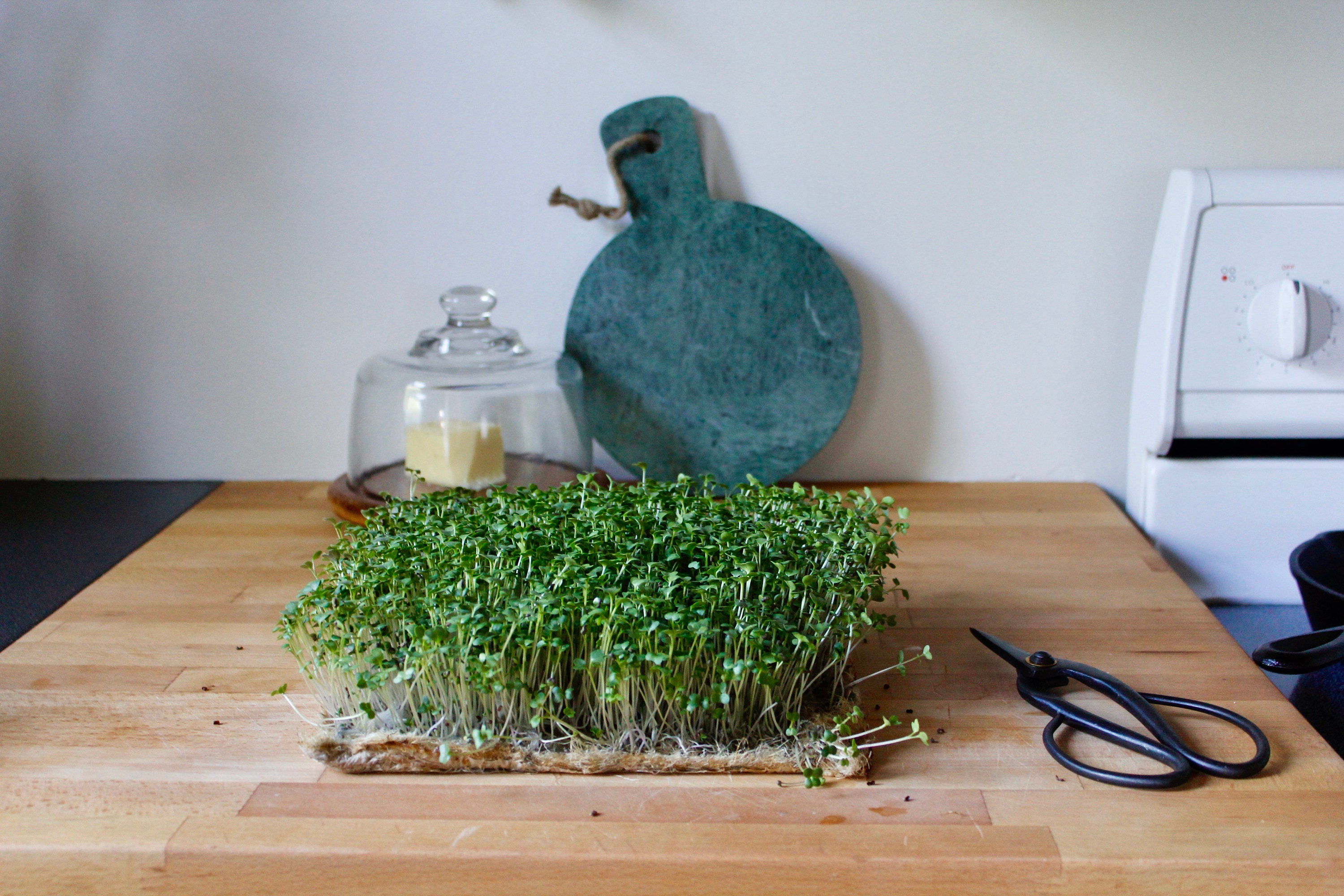 The Mini Micro Kit | Etsy