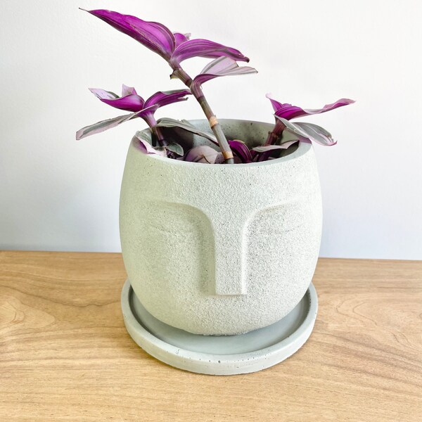Face Planter - Etsy