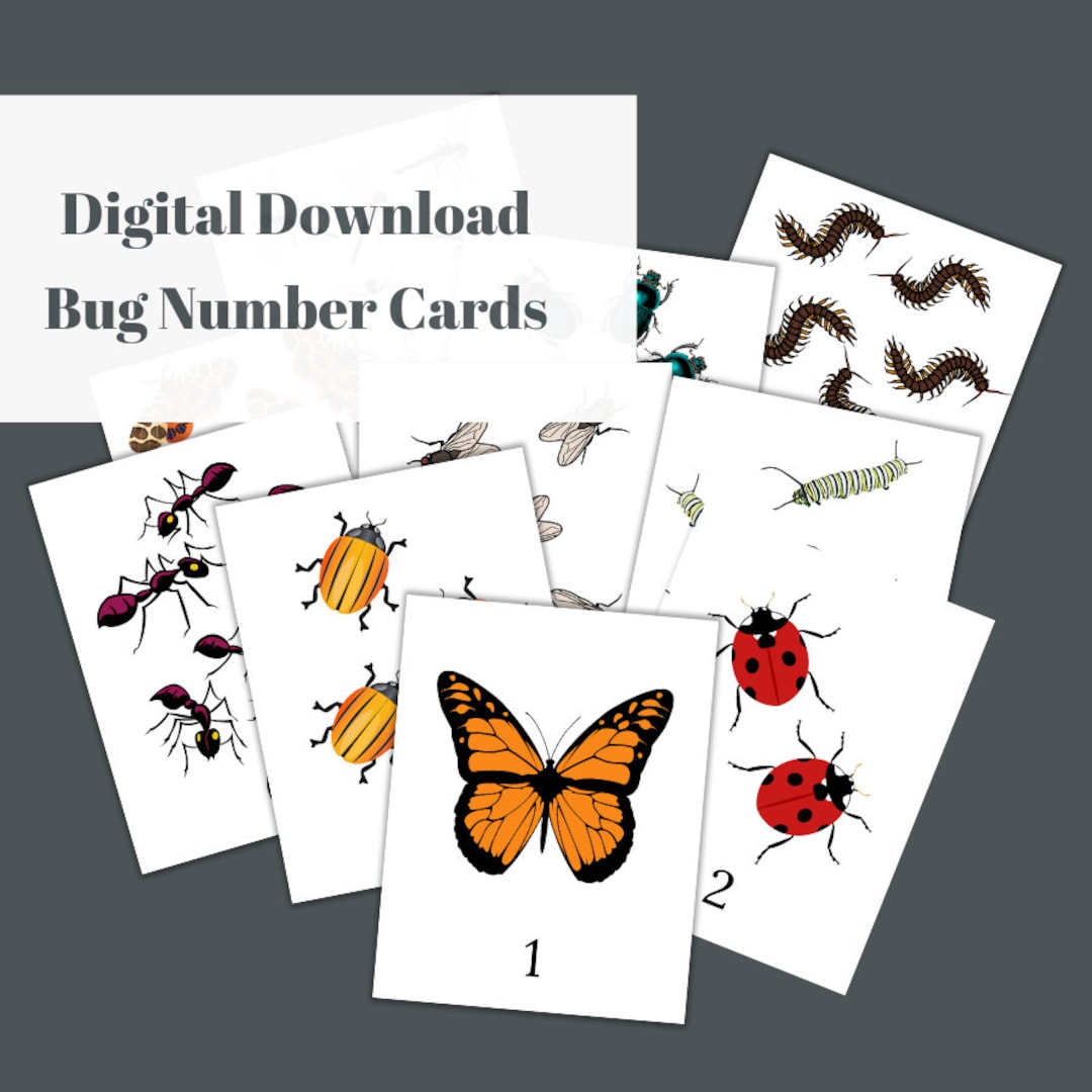 Bug Number Cards Digital Download Preschool Kindergarten Montessori ...