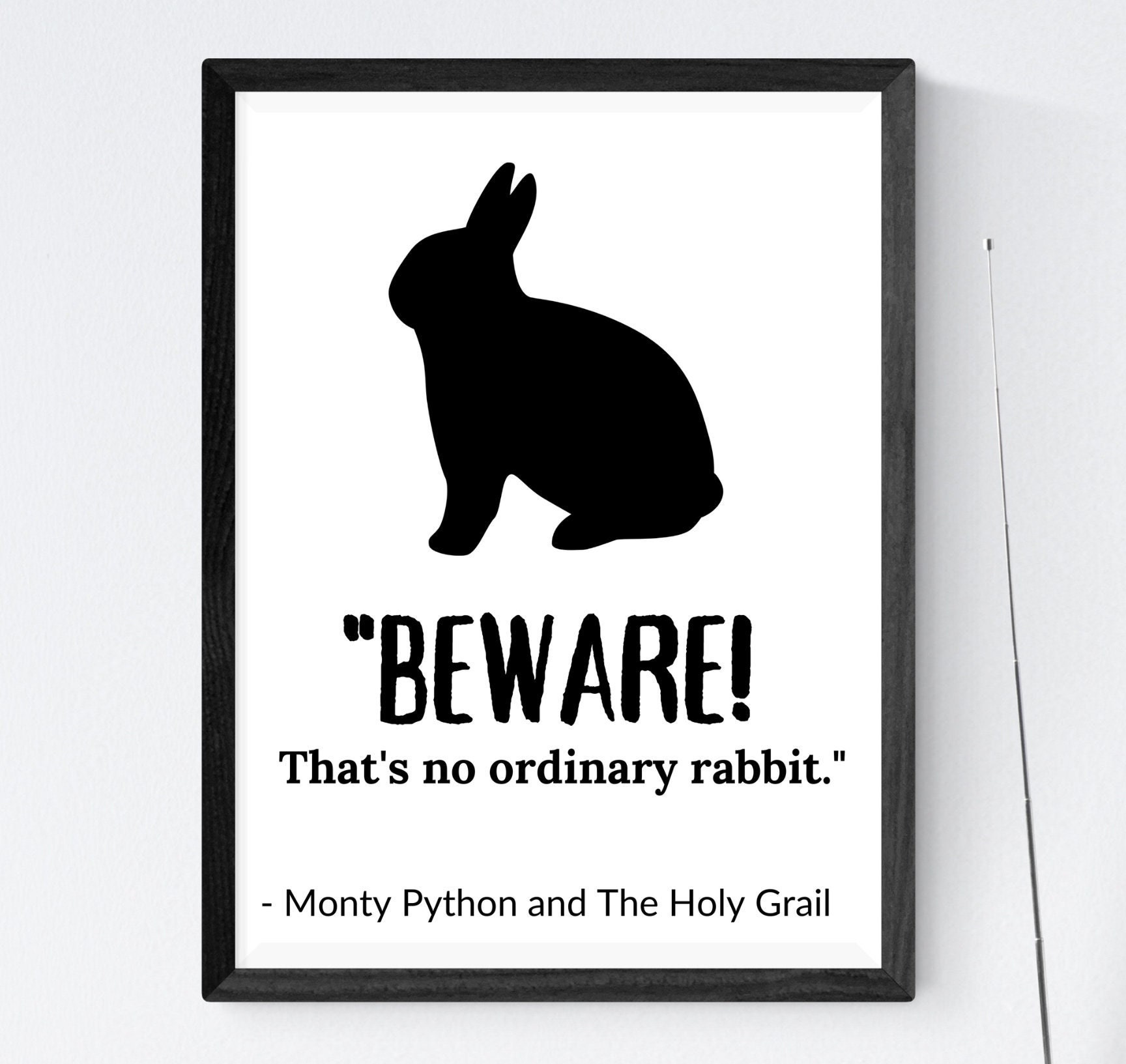 Monty Python Rabbit Quote
