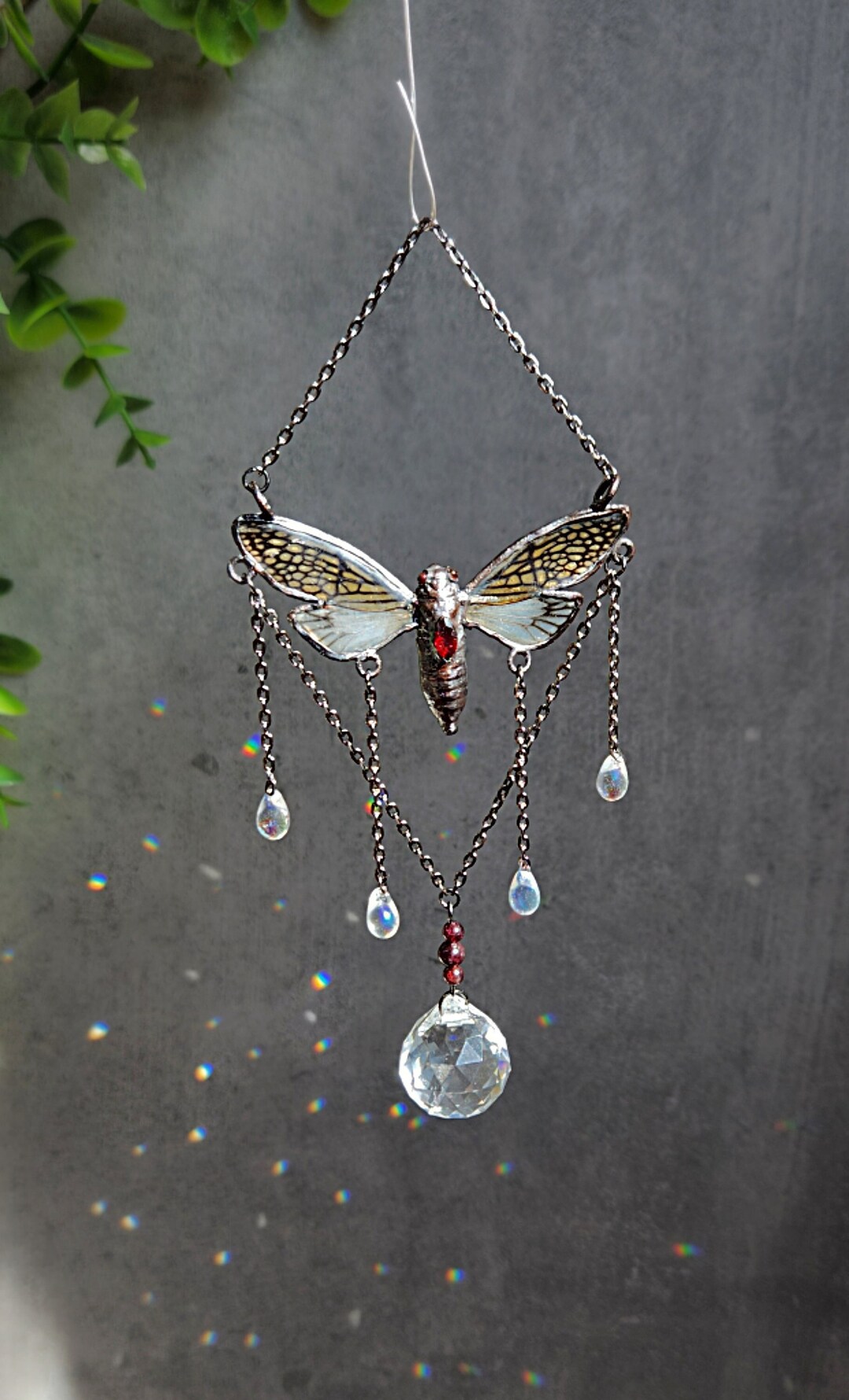 Real Cicada Suncatcher, Cicada Decor, Cicada Ornament, Rainbow Maker ...